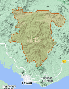 Tawau and Tawau Hills Park - Lets travel Borneo!
